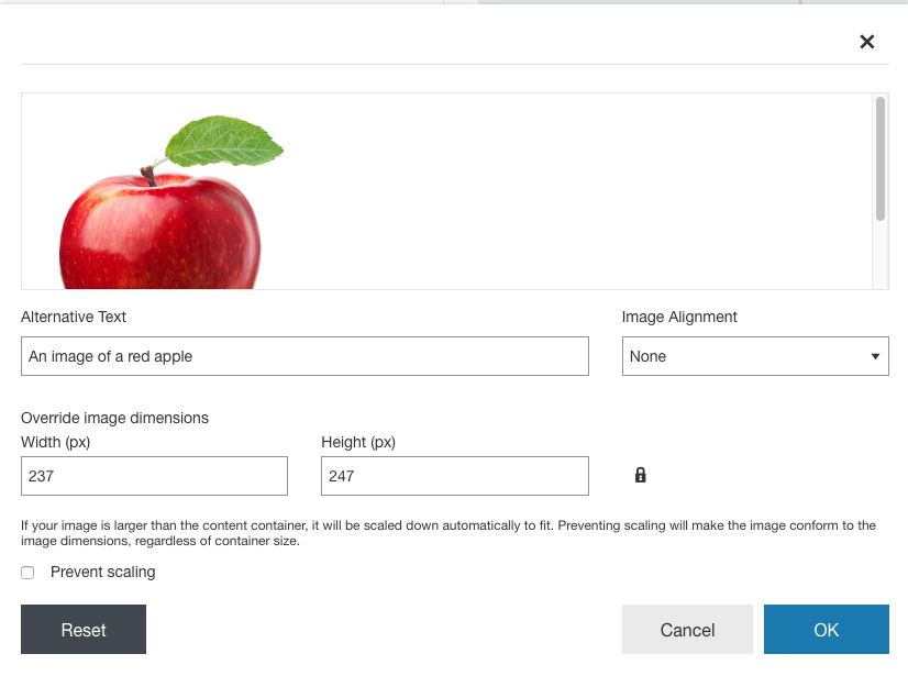 Uploading Images in a Question using the Rich Text Toolbar – Learnosity Author Guide